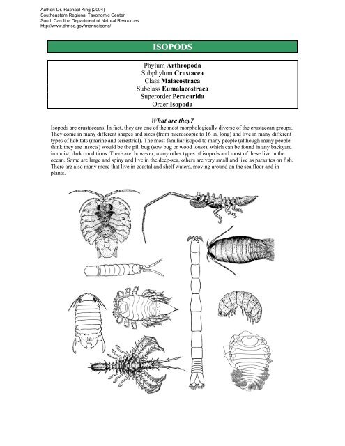 Isopod crustaceans - South Carolina Department of Natural Resources