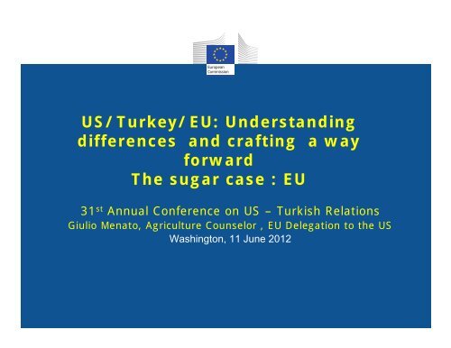 Session B2 Giulio Menato - American-Turkish Council