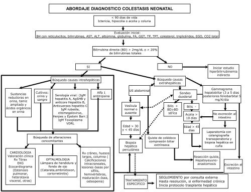 algoritmos de gastroenterología