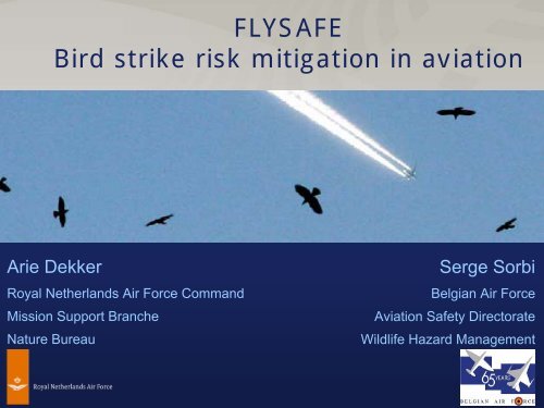 FLYSAFE Bird strike risk mitigation in aviation - Integrated ...