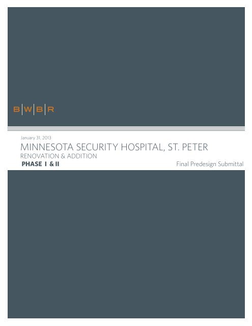 Minnesota Security Hospital Predesign, St. Peter - Department of ...