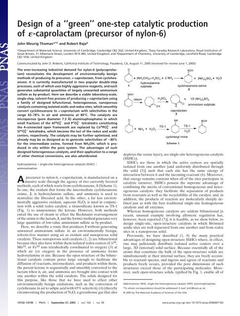 one-step catalytic production of -caprolactam (precursor of nylon-6)