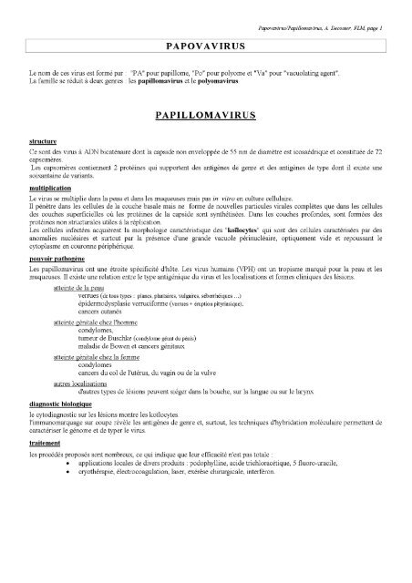 la classification des virus - anne decoster