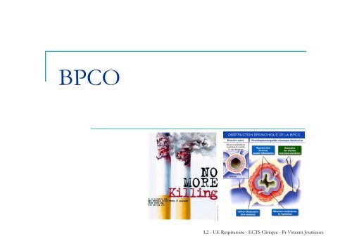 1-BPCO pdf