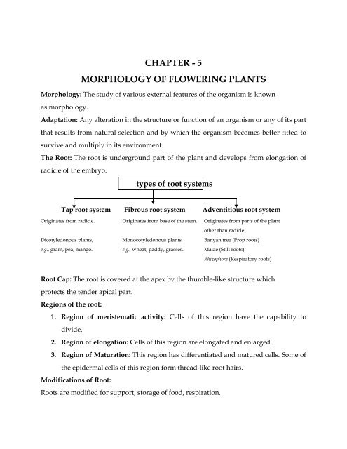 CHAPTER - 5 MORPHOLOGY OF FLOWERING PLANTS