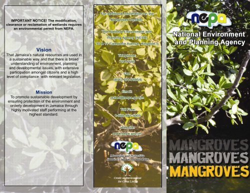 Brochure (mangrove) (2).pub