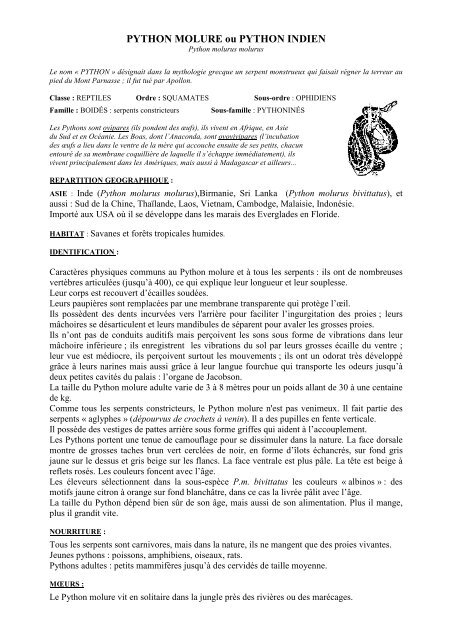 PYTHON MOLURE ou PYTHON INDIEN - Secas