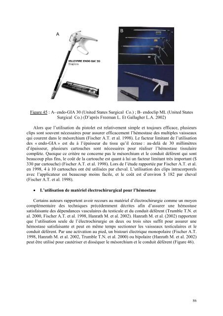 A Figure 45 : A- endo-GIA