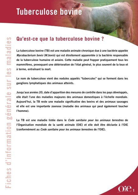 Tuberculose bovine - OIE