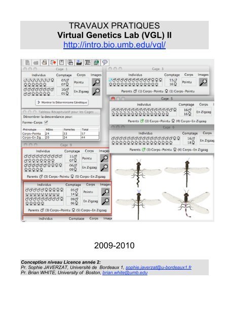 VGL II manual - french - virtual genetics lab