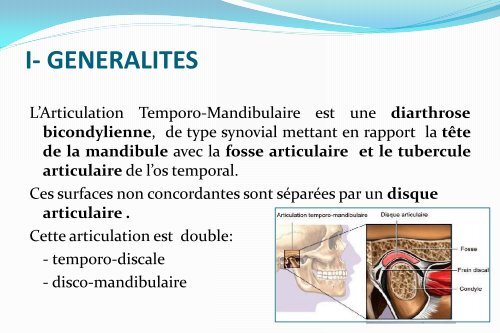 I- GENERALITES L’Articu