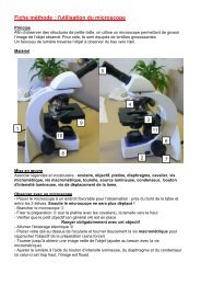 La faille Vema, localisation et observation