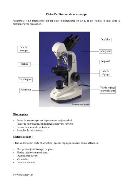 Fiche De Travail Sur Les Parties D'un Microscope