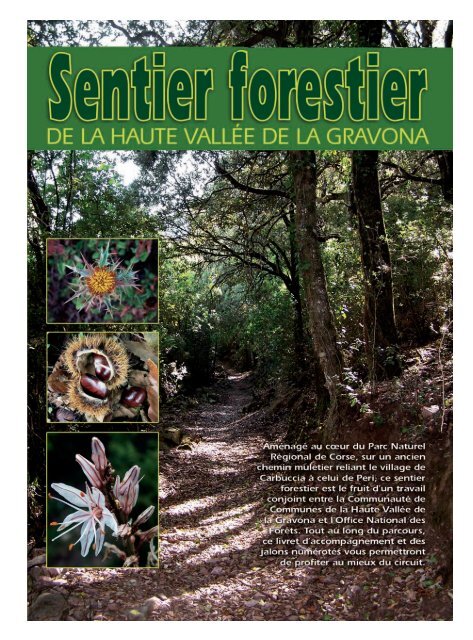 Sentier forestier (PDF) - Office du tourisme de la haute vallée de la ...