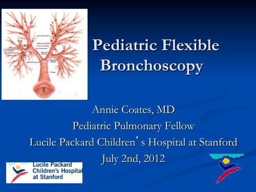 Pediatric Flexible Bronchoscopy Pediatric Critical Care Education