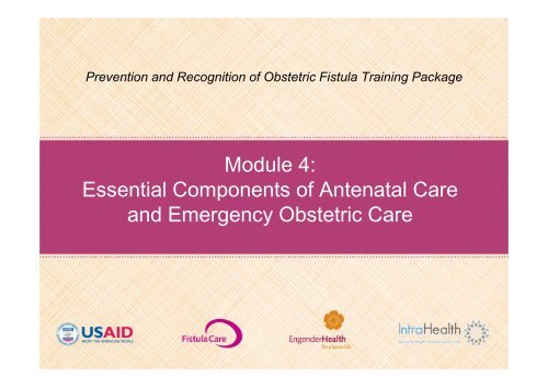 Essential Components of Antenatal Care and Emergency Obstetric ...