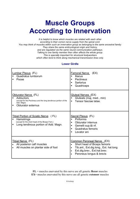 Muscle Groups According to Innervation