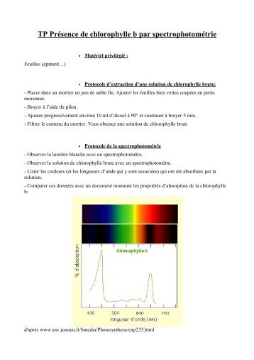 TP : Extraction de la chlorophylle + spectroscope