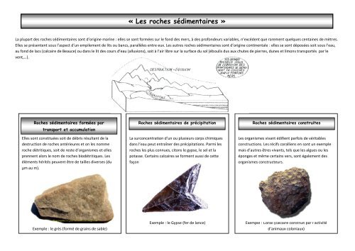 3 Types De Roches Sédimentaires