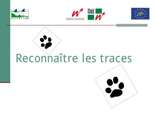 Reconnaître les traces