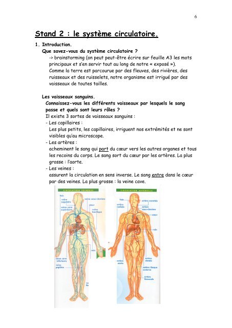 Stand 2 : le système circulatoire.