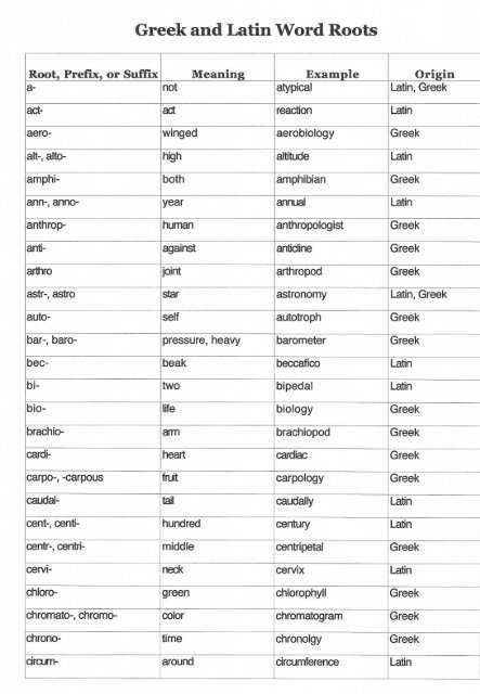 Greek and Latin Word Roots - Alvarado Intermediate School