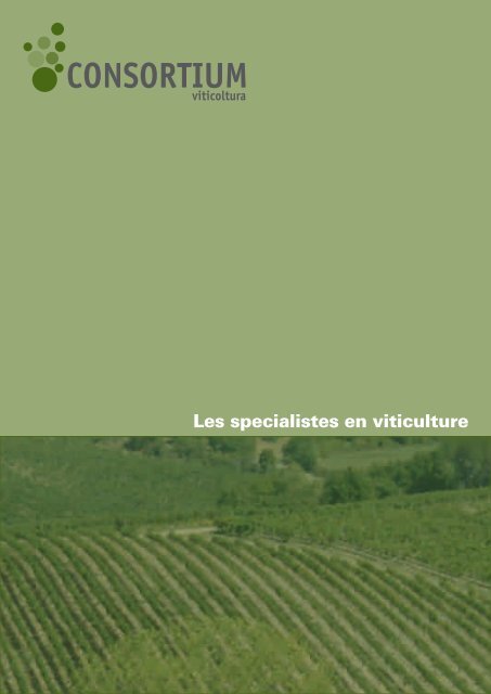 Les specialistes en viticulture - Consortium Spa
