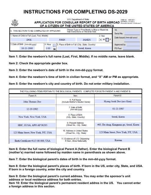 INSTRUCTIONS FOR COMPLETING DS-2029