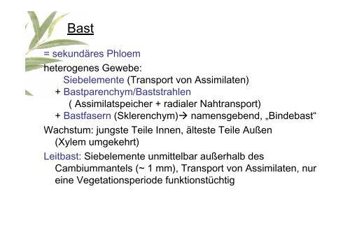 Bast = sekund