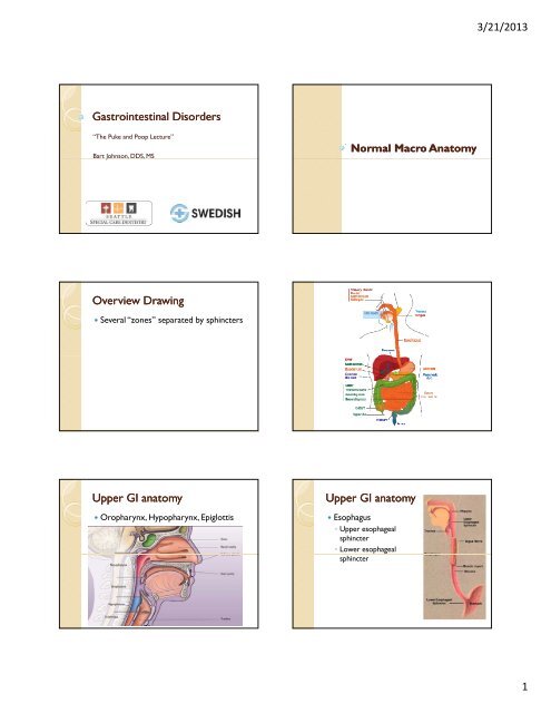 3/21/2013 1 Gastrointestinal Disorders Overview Drawing Upper GI ...