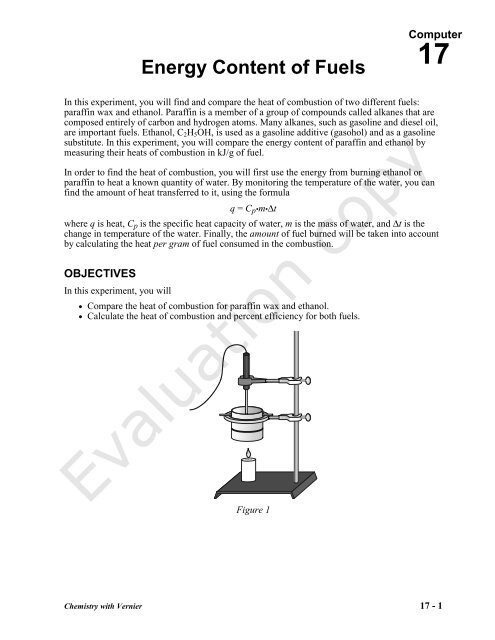 Heat Of Combustion Lab