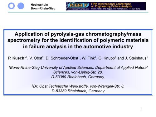 Application Of Pyrolysis Gas Chromatography Mass Spectrometry For