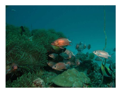 Tuléar - gdri madagascar