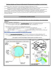 TP : Extraction de la chlorophylle + spectroscope