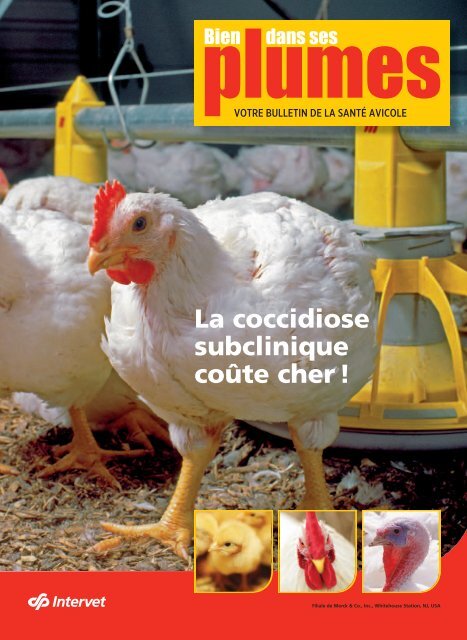 CPM insert - Coccivac, Vaccin Coccivac, Coccidiose subclinique ...