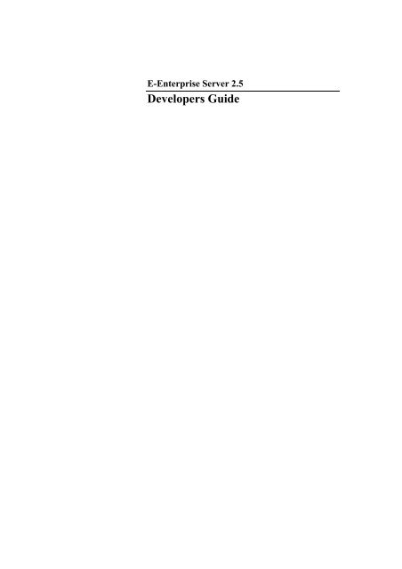 Developers Guide - Baan Implementation Help, Consulting and ...