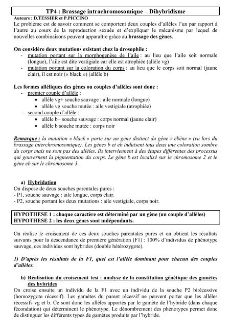 TP4 : Brassage intrachromosomique – Dihybridisme
