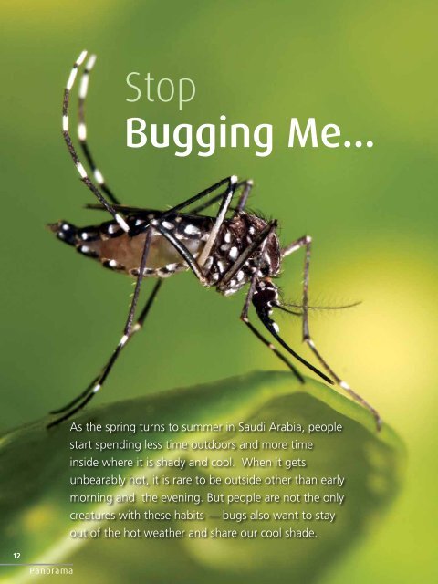 Stop Bugging Me - Saudi Aramco