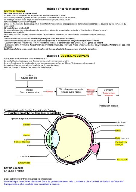 representation visuelle 1ere es