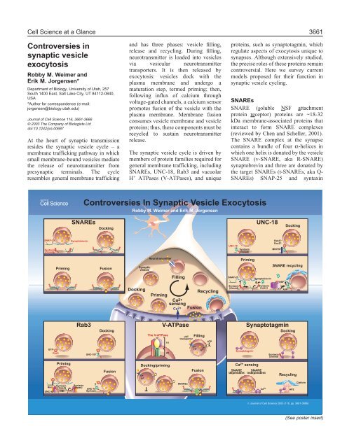 Synaptic Vesicle Membrane Proteins