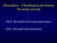 Classification de Rodineau