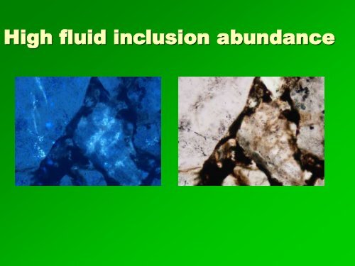 Low fluid inclusion abund