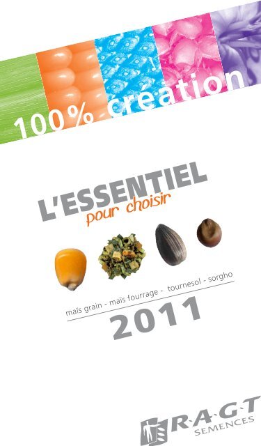 maïs grain - RAGT Semences
