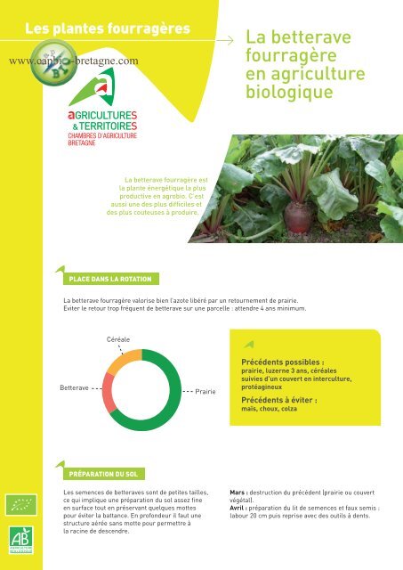 La betterave fourragère en agriculture biologique - Cap Bio