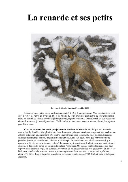 La renarde et ses petits - Fondation Hainard