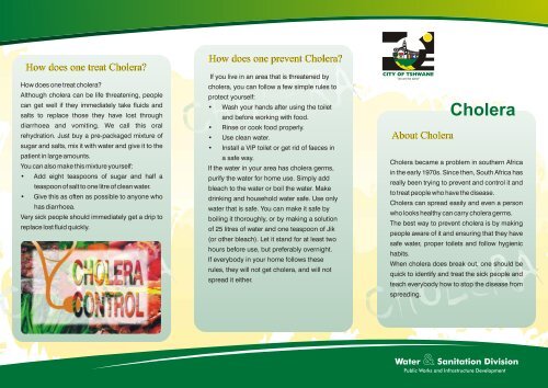 Cholera Brochure (PDF)