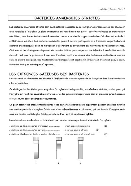 Anaérobies - Cours de Anne Decoster