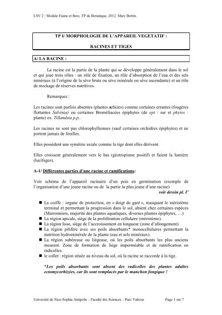 Le web invisible - Université Nice Sophia Antipolis