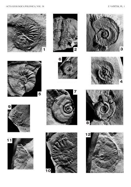 ACTA GEOLOGICA POLONICA,