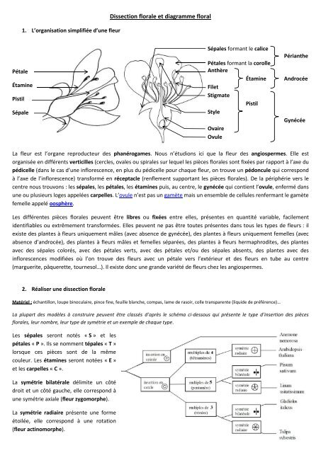 Dissection_florale_e.. - SVT au lycée Louis Armand